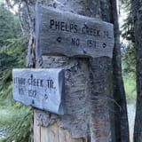 Spider Meadow via Phelps Creek Trail, Washington - 291 Reviews, Map ...