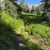 Spider Meadow via Phelps Creek Trail, Washington - 291 Reviews, Map ...