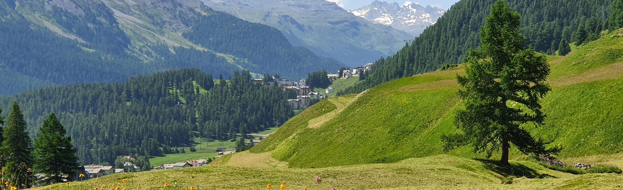 Samedan - St. Moritz, Graubünden, Switzerland - 4 Reviews, Map | AllTrails