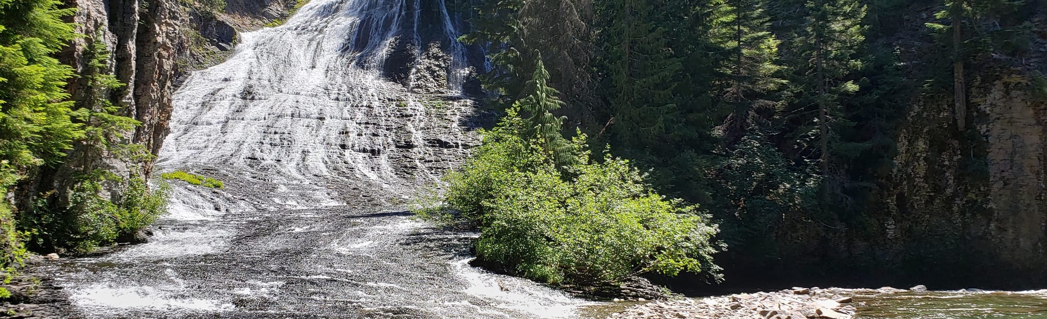 Walupt Creek Falls, Washington - 262 Reviews, Map | AllTrails