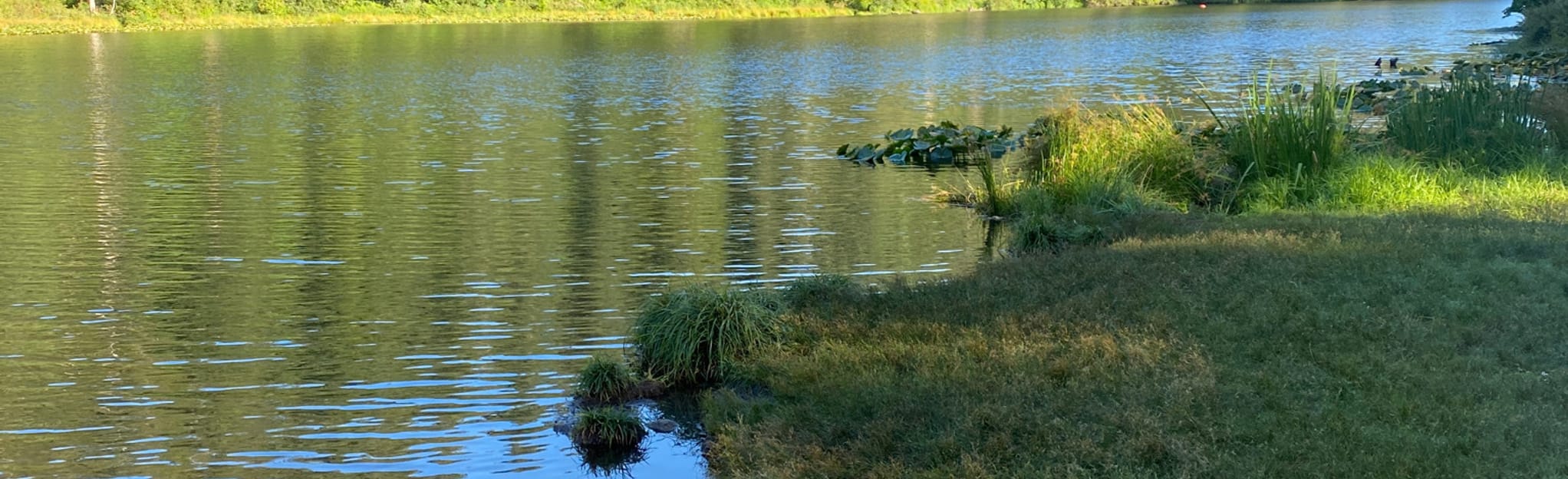 Fallen Leaf Lake: 265 Reviews, Map - Washington | AllTrails