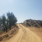 Newhall Pass: Weldon Canyon Trail, California - 226 Reviews, Map ...