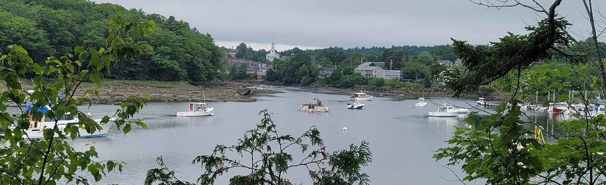 Indian Point Preserve Trail: 77 Reviews, Map - Maine | AllTrails