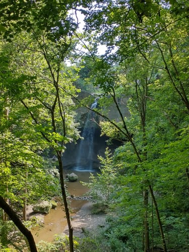 Best Hikes and Trails in Fall Creek Gorge Nature Preserve | AllTrails