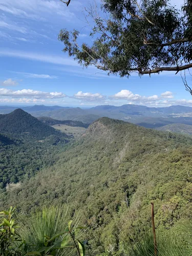 Best Bird Watching Trails in Mount Warning | AllTrails