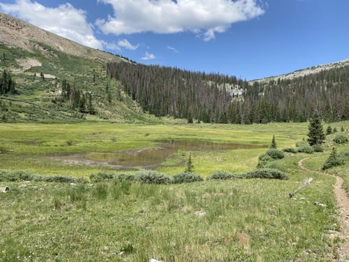 Best Hikes and Trails in Fossil Ridge Recreation Management Area ...