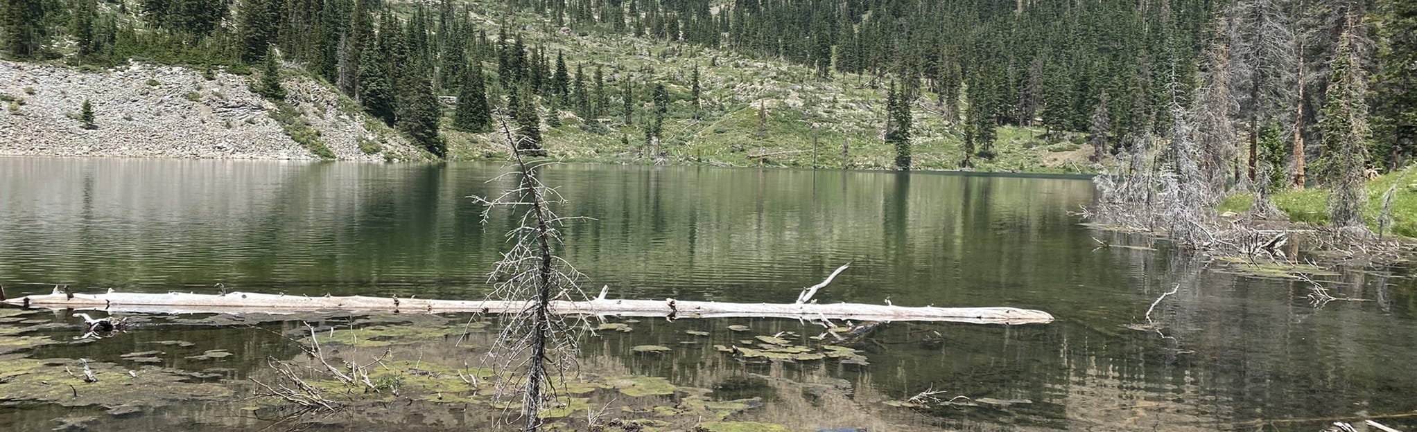 Boulder Lake via Fossil Ridge , Colorado - 25 Reviews, Map | AllTrails