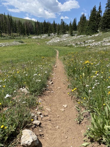 Best Hikes and Trails in Fossil Ridge Recreation Management Area ...