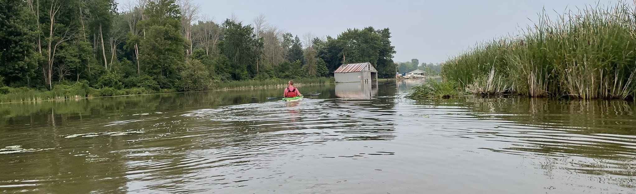 East Holland River Paddle: 20 Reviews, Map - Ontario, Canada | AllTrails