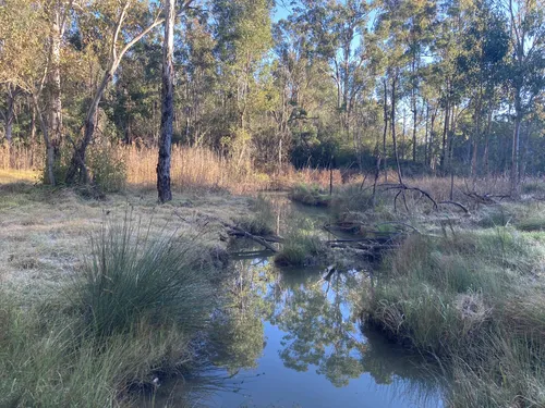 Best Hikes and Trails in Mulgoa Nature Reserve | AllTrails