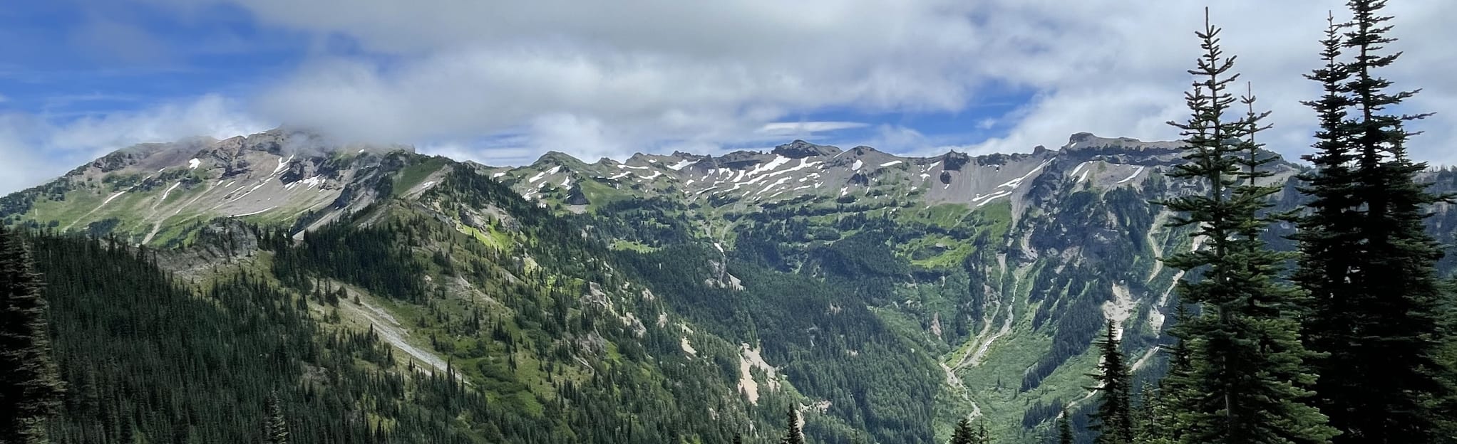 Angry Mountain Trail #90: 15 Reviews, Map - Washington | AllTrails