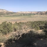 Miracle Rock Trail, Colorado - 39 Reviews, Map | AllTrails