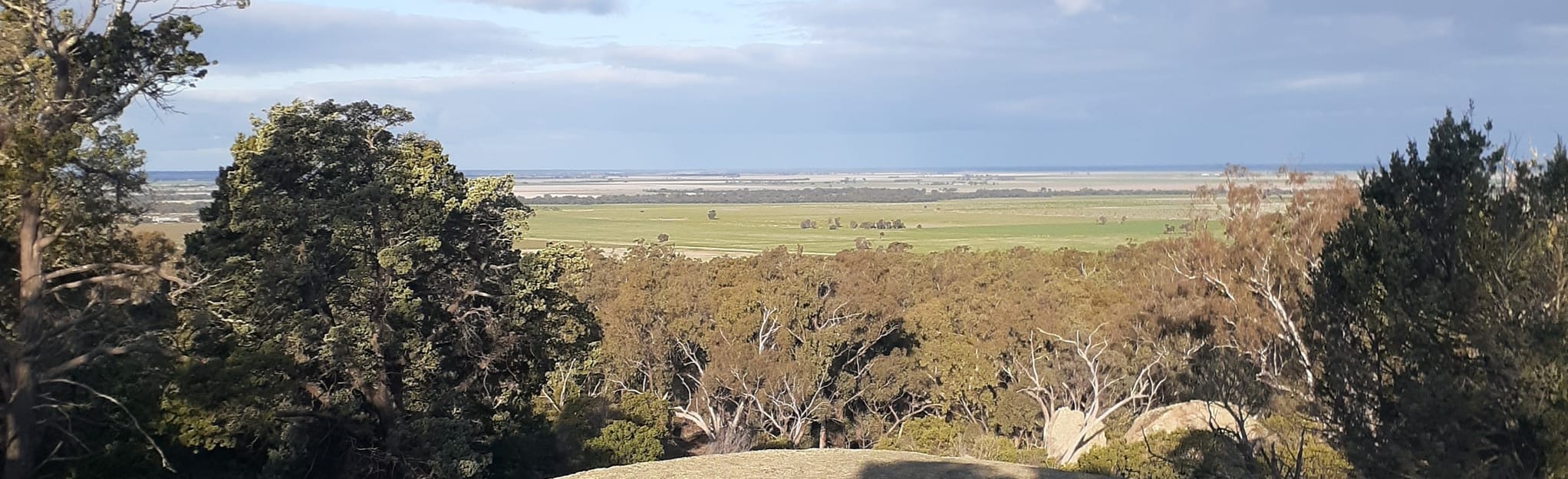 Terrick Terrick Loop: 12 Reviews, Map - Victoria, Australia | AllTrails