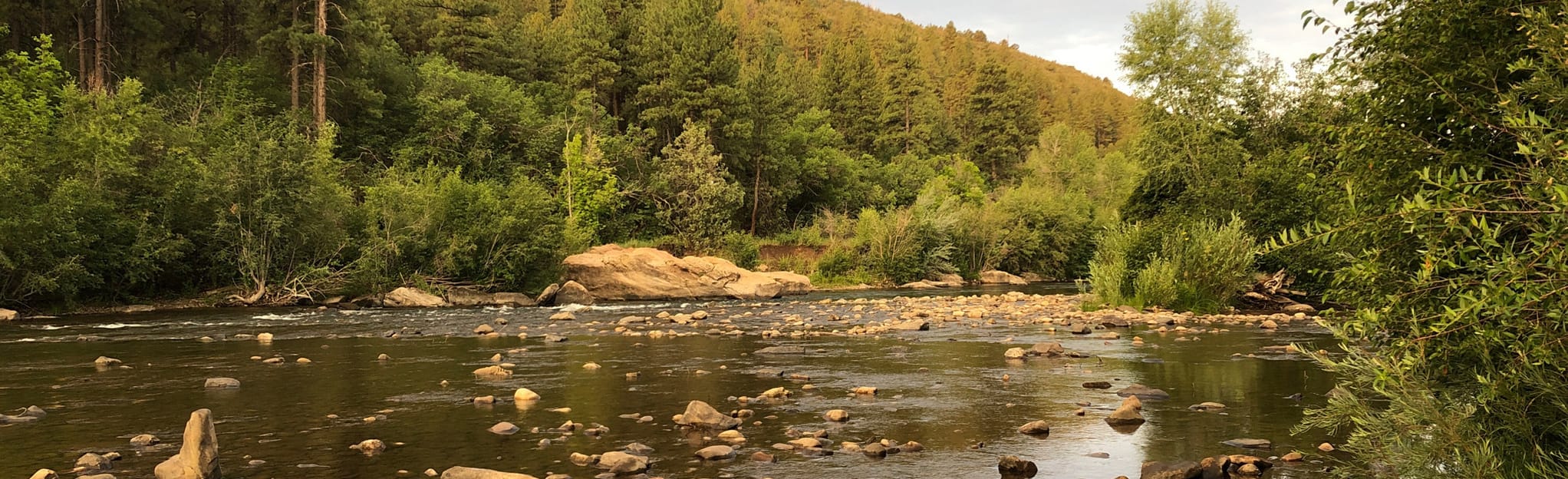 Dolores River Trail: 60 Reviews, Map - Colorado | AllTrails