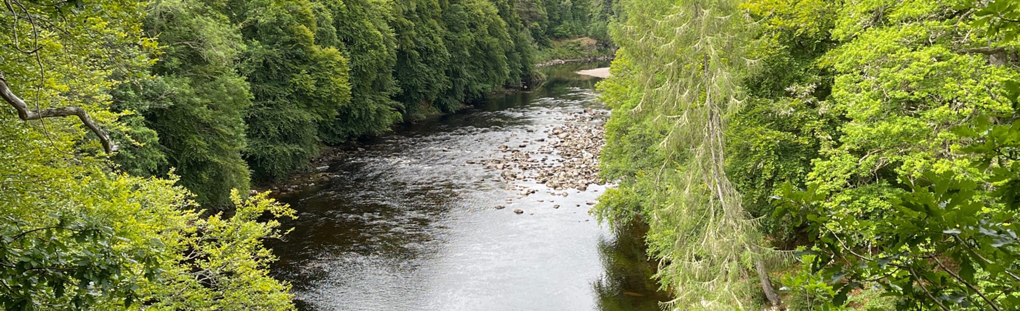 Logie Steading Short Loop, Moray, Scotland - 5 Reviews, Map | AllTrails