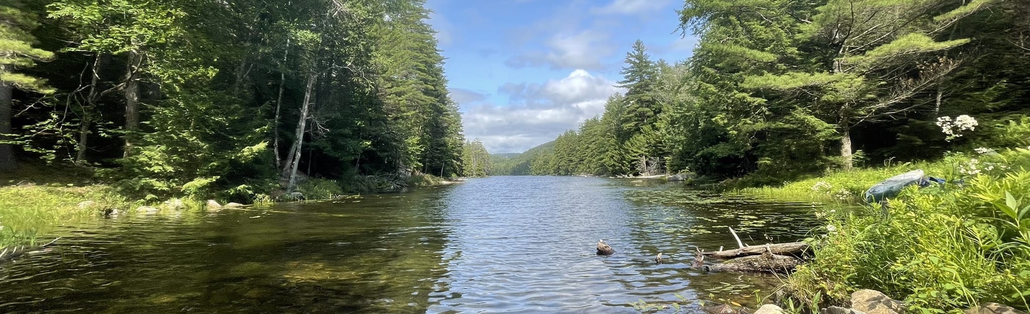 Sucker Brook Trail to Pharaoh Lake, New York - 8 Reviews, Map | AllTrails