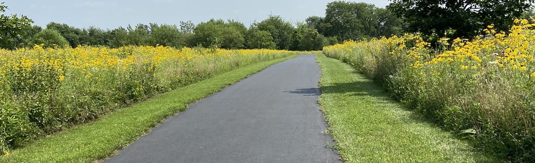 DuPage River Trail, Illinois - 61 Reviews, Map | AllTrails