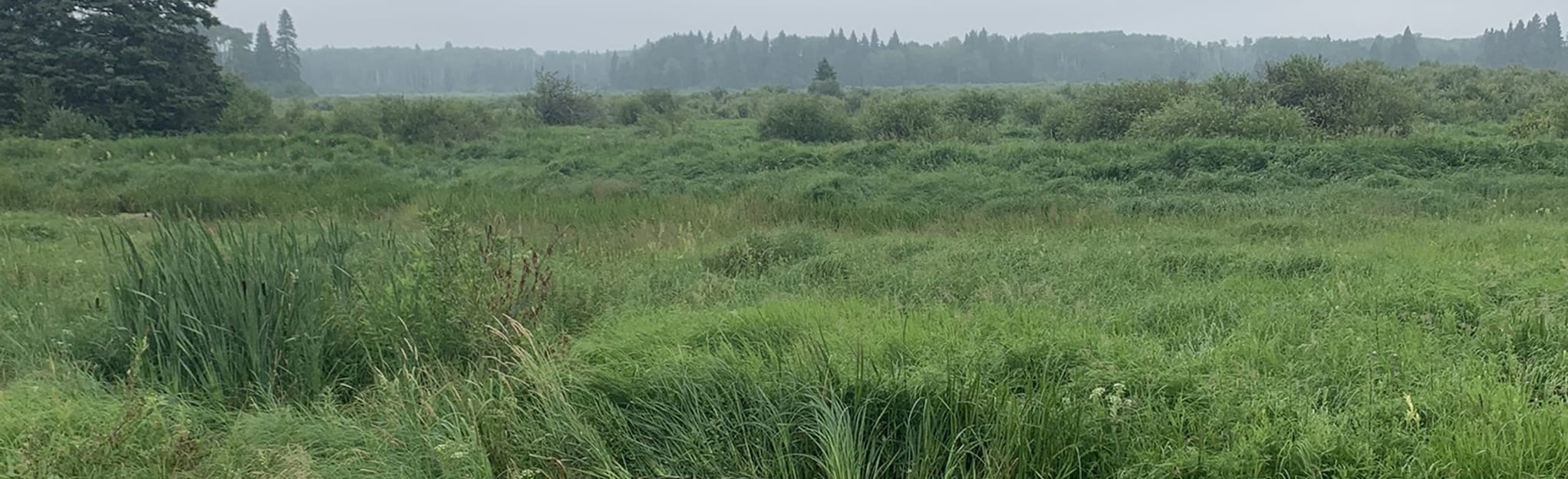 Gunn Lake via Baldy Lake Trail, Manitoba, Canada - 7 Reviews, Map ...