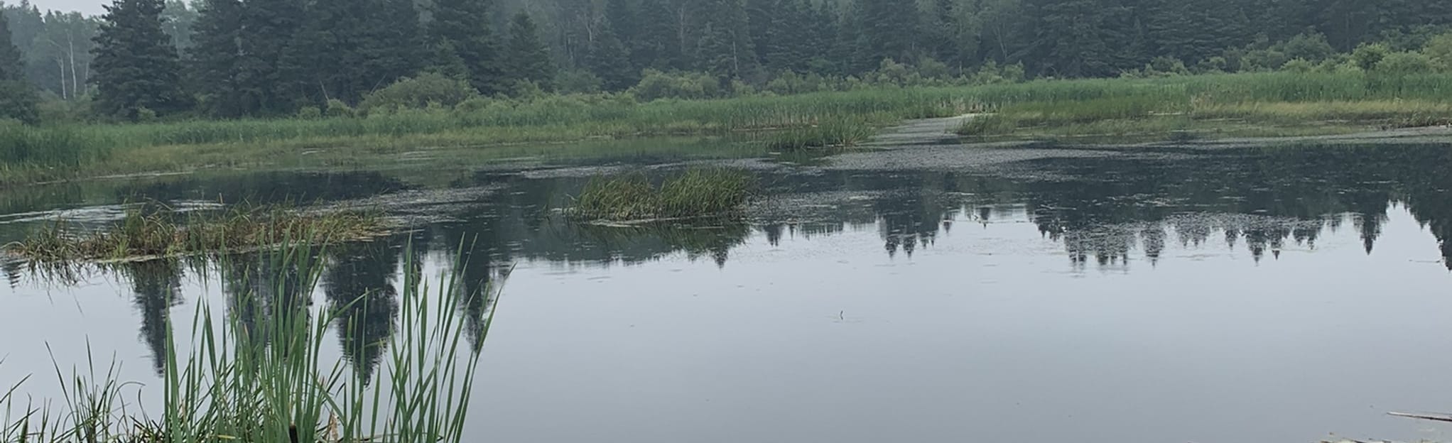 Gunn Lake via Baldy Lake Trail | Map, Guide - Manitoba, Canada | AllTrails