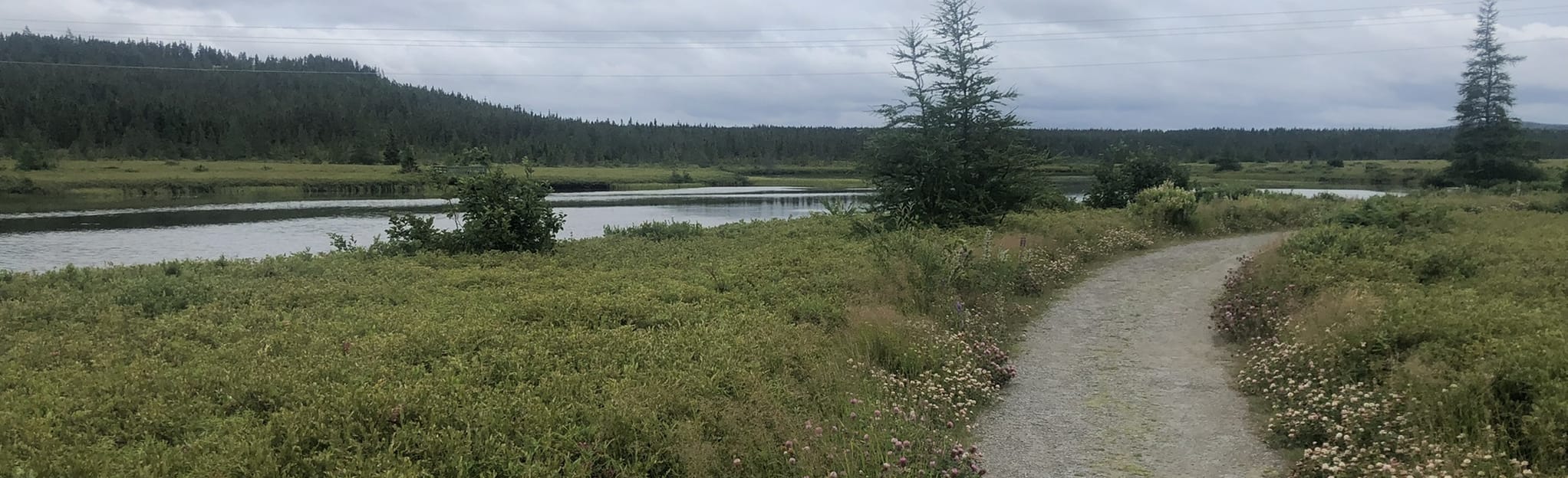 Ken Diamond Trail, Newfoundland and Labrador, Canada - 81 Reviews, Map ...