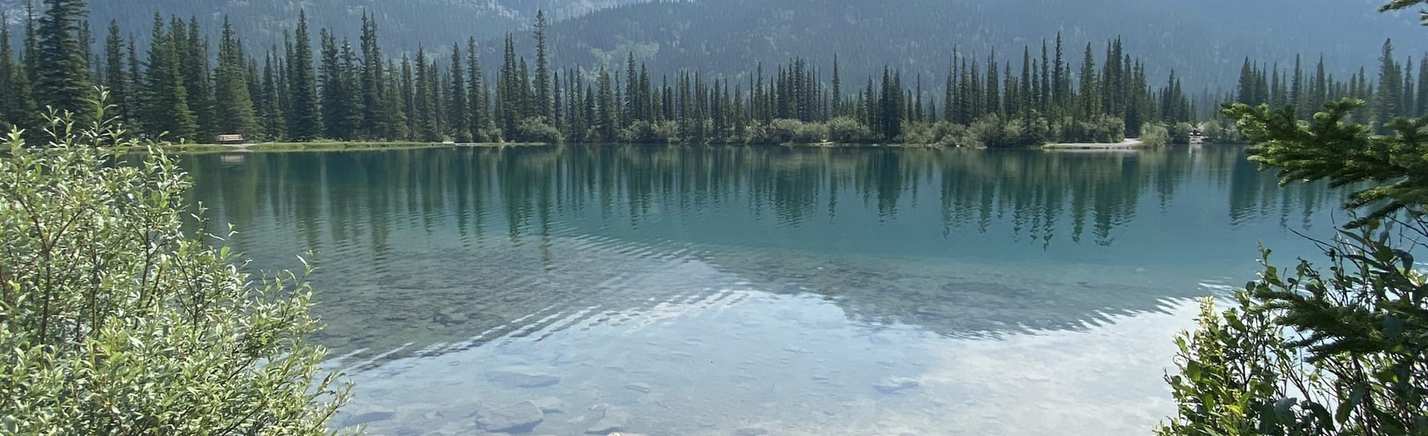 Forgetmenot Pond, Alberta, Canada - 108 Reviews, Map | AllTrails