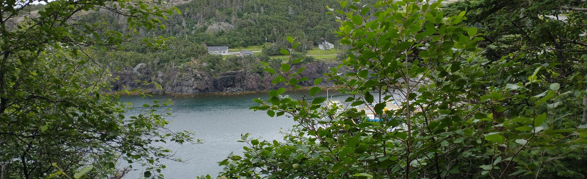 James Humber Trail: 20 Reviews, Map - Newfoundland and Labrador, Canada ...