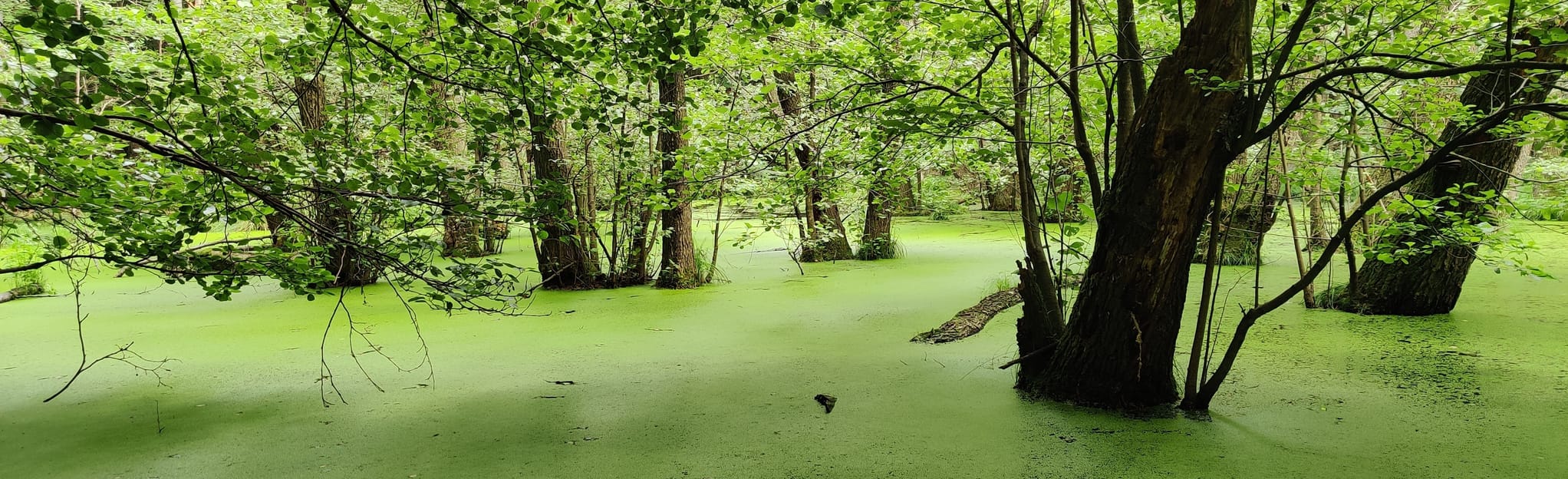 Mátrafüred – Parádsasvár: 0 Reviews, Map - Heves, Hungary | AllTrails