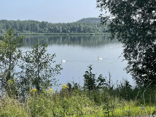 10 Best Long Trails in Scarpe-Escaut Regional Nature Park | AllTrails