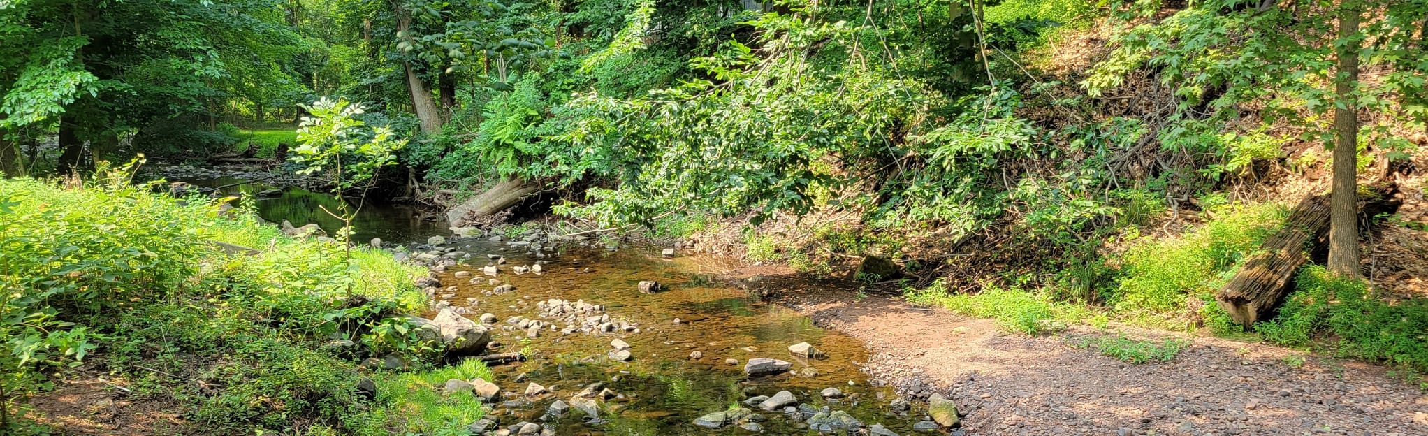 Ponderosa Farm Park Loop, New Jersey - 13 Reviews, Map | AllTrails