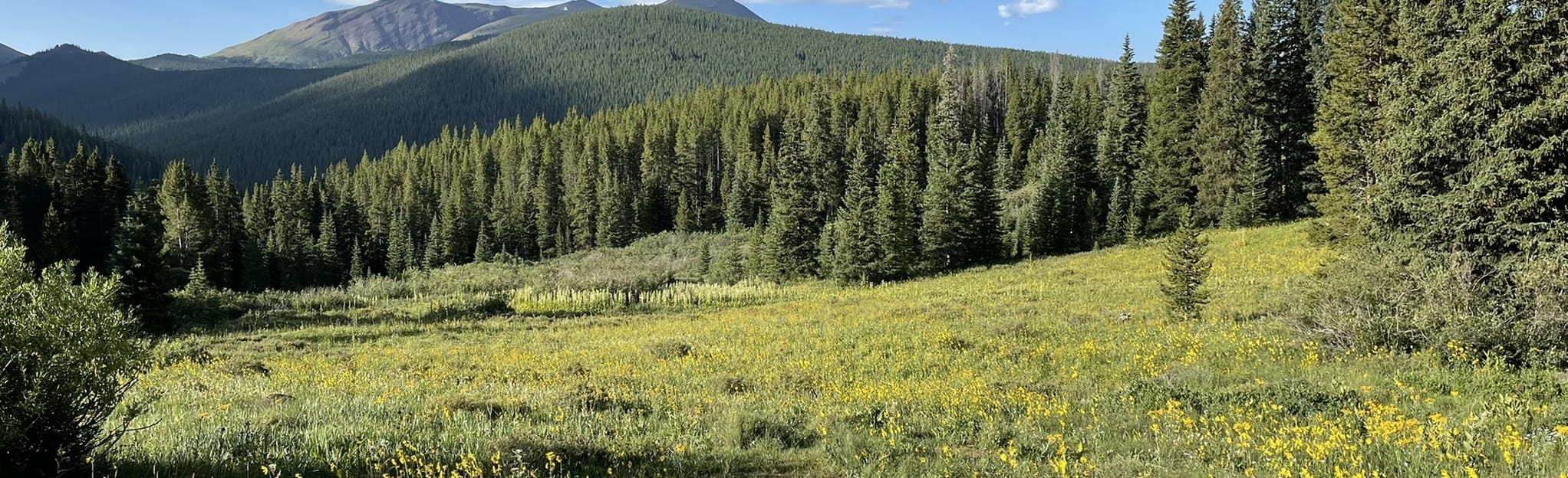 Boreas Pass Road, Colorado - 481 Reviews, Map | AllTrails