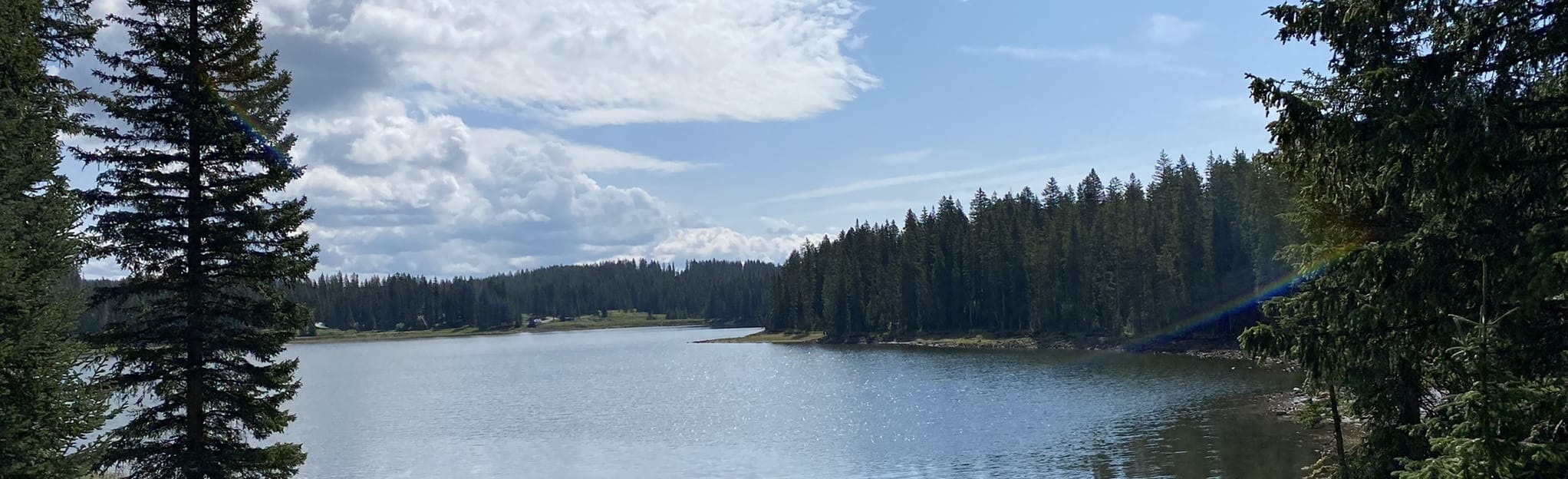 Baron Lake Trail - Colorado | AllTrails