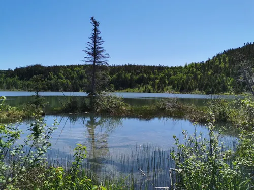 2023 Best Historic Site Trails in Pilley's Island | AllTrails