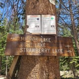 Strawberry Lake OHV Trail, California - 31 Reviews, Map | AllTrails