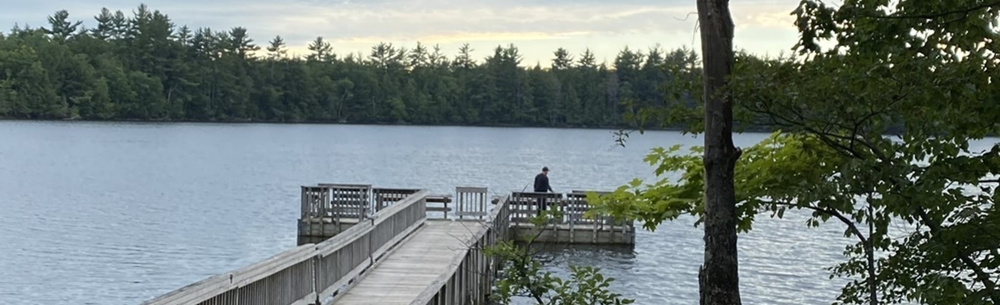 Colwell Lake Trail: 15 Reviews, Map - Michigan | AllTrails