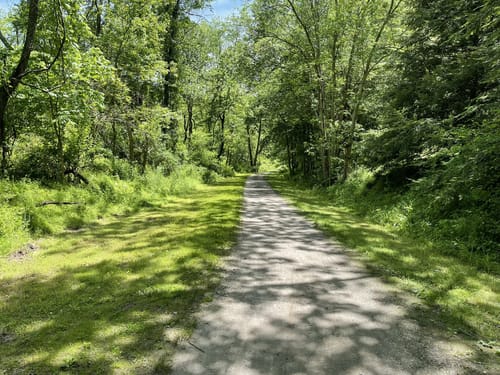 Best Hikes and Trails in BeeTree Preserve | AllTrails