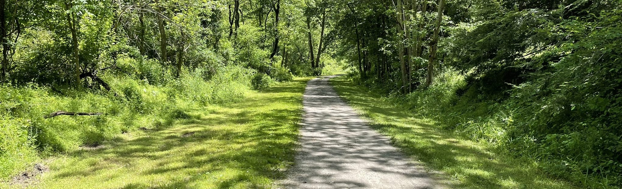 Torrey C. Brown, Red and Yellow Trail Loop , Maryland - 59 Reviews, Map ...