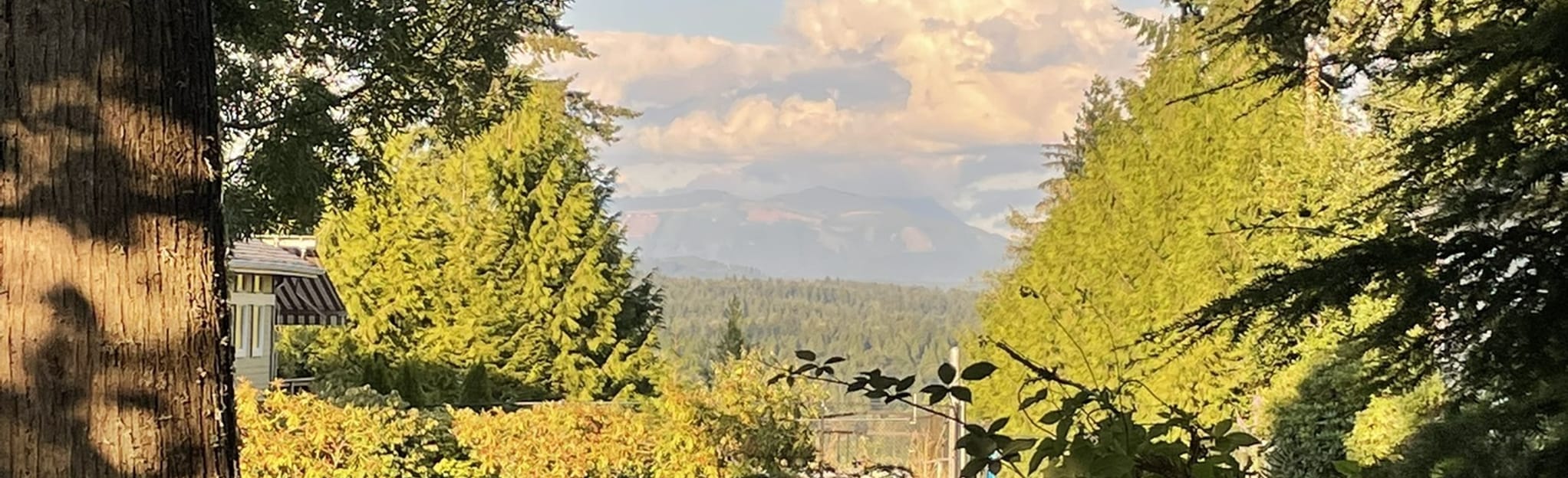 Sunrise Loop and Adair Creek: 99 Reviews, Map - Washington | AllTrails