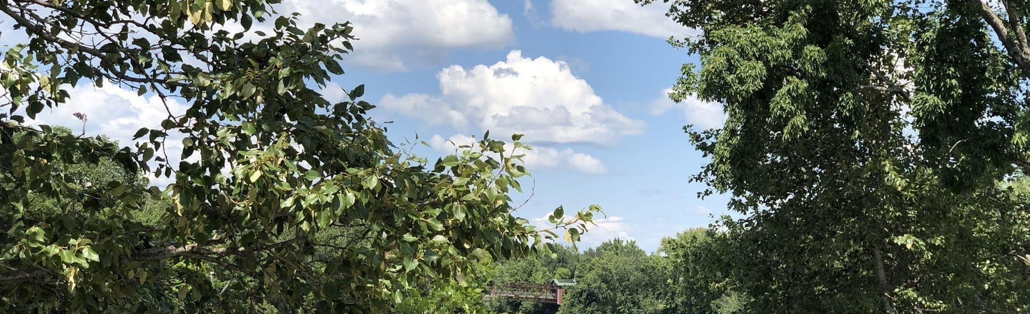 Maniwaki Loop: 47 Reviews, Map - Quebec, Canada | AllTrails