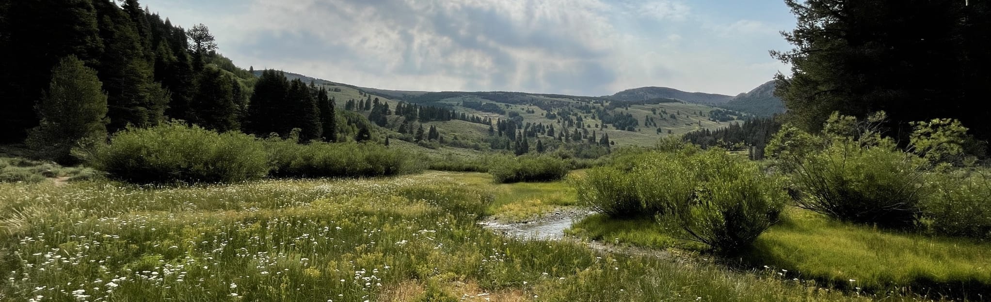 Pine Creek to Lake Patterson: 23 Reviews, Map - California | AllTrails