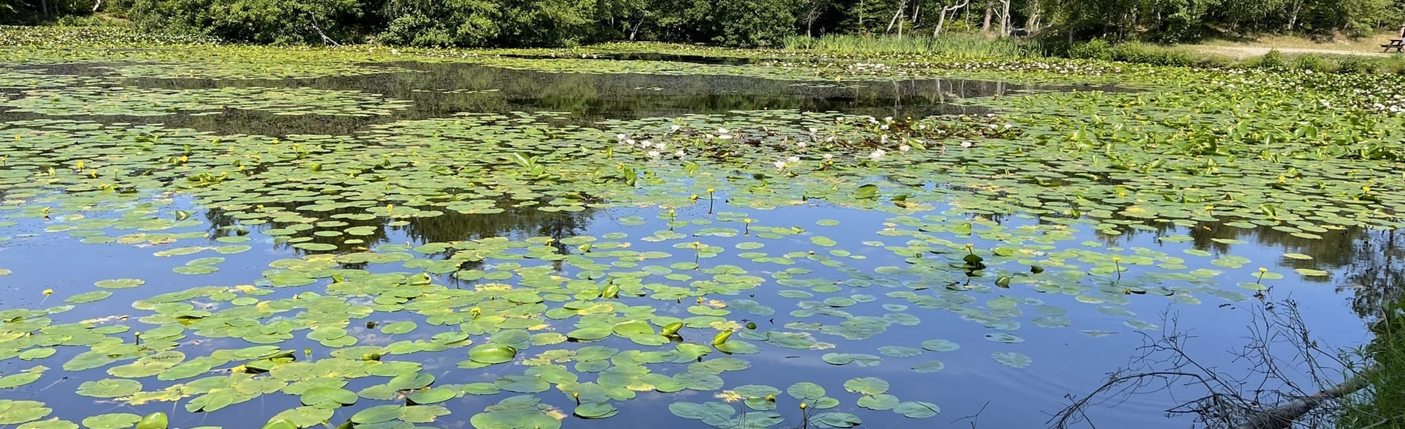 Tverstedsøerne - Tversted | Map, Guide - North Denmark, Denmark | AllTrails