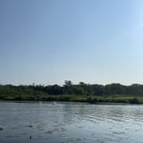 Forge Pond - Metedeconk River Kayak Trail, New Jersey - 16 Reviews, Map ...
