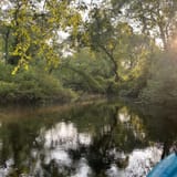 Forge Pond - Metedeconk River Kayak Trail, New Jersey - 16 Reviews, Map ...