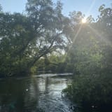 Forge Pond - Metedeconk River Kayak Trail, New Jersey - 16 Reviews, Map ...