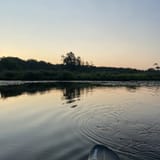 Forge Pond - Metedeconk River Kayak Trail, New Jersey - 16 Reviews, Map ...