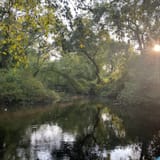 Forge Pond - Metedeconk River Kayak Trail, New Jersey - 16 Reviews, Map ...