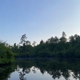 Forge Pond - Metedeconk River Kayak Trail, New Jersey - 16 Reviews, Map ...