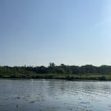 Forge Pond - Metedeconk River Kayak Trail, New Jersey - 16 Reviews, Map ...