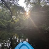 Forge Pond - Metedeconk River Kayak Trail, New Jersey - 16 Reviews, Map ...
