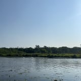 Forge Pond - Metedeconk River Kayak Trail, New Jersey - 16 Reviews, Map ...