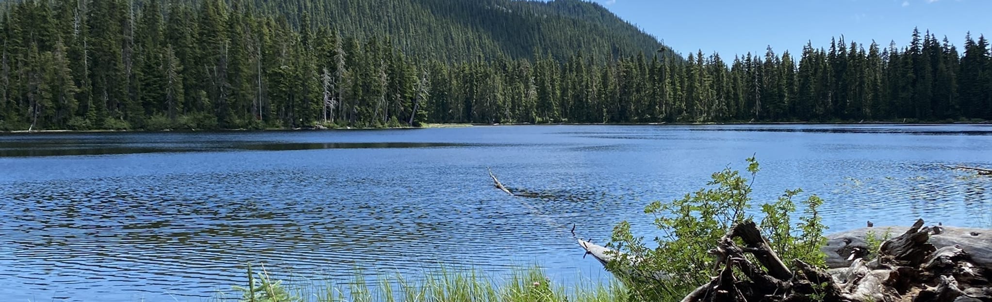 Shellrock Lake via Cramer Lake Trail, Washington - 6 Reviews, Map ...
